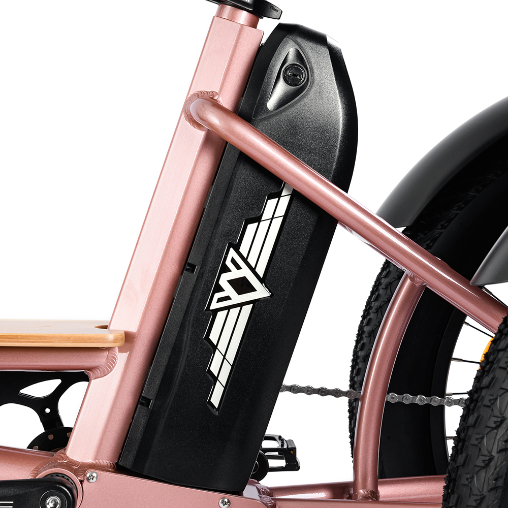 How To Choose Electric Tricycle Characteristics?
